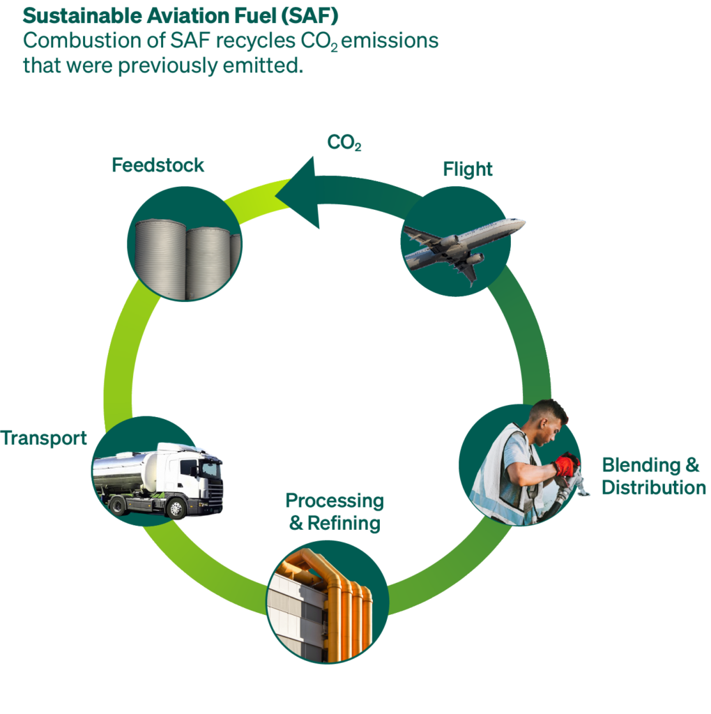 Products | Tuang Bio Energi | Feedstock for Biodiesel and SAF | Minyak ...